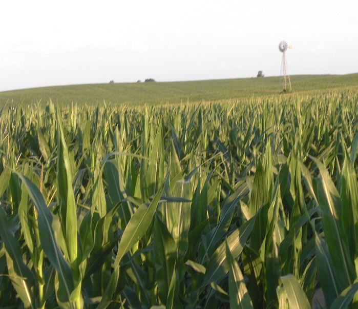 Drought likely to continue in Western Corn Belt - Brownfield Ag News