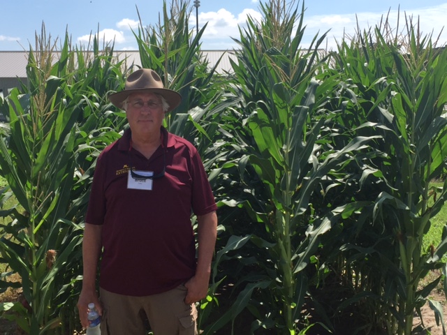 Crop considerations when excessively wet - Brownfield Ag News