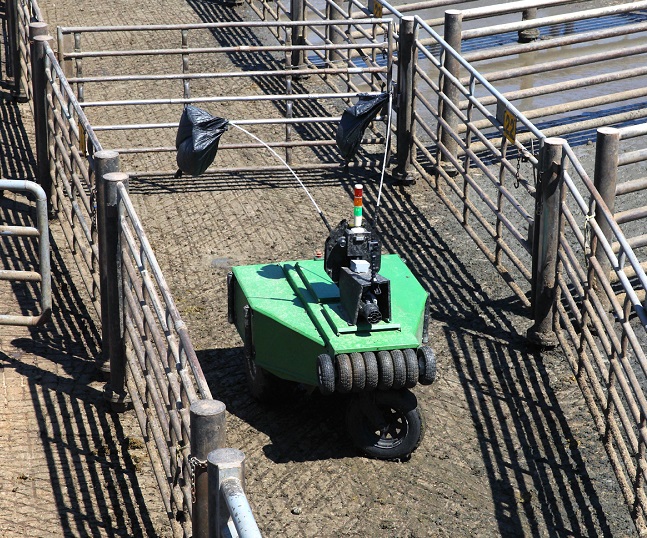 Cargill develops robotic cattle driver - Brownfield Ag News
