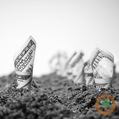 Comparing conventional and organically grown crops - Brownfield Ag News